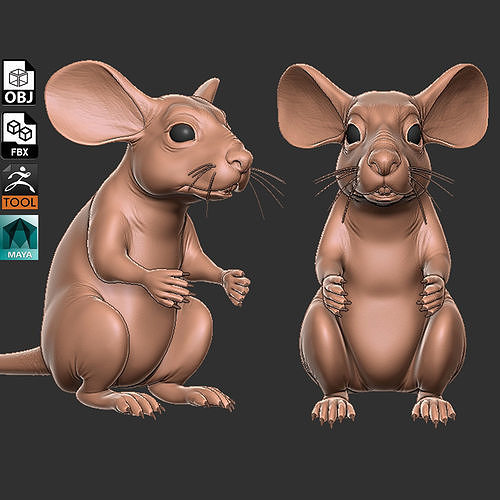 Mouse 3D model | CGTrader