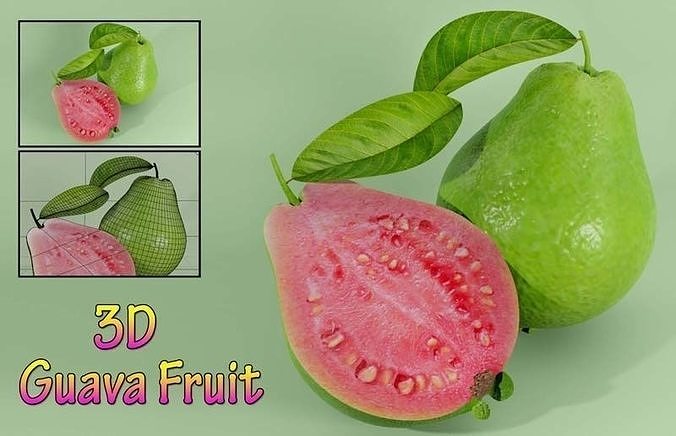 3D model Guava Fruit 3D VR / AR / low-poly | CGTrader