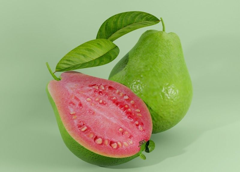 3D model Guava Fruit 3D VR / AR / low-poly | CGTrader