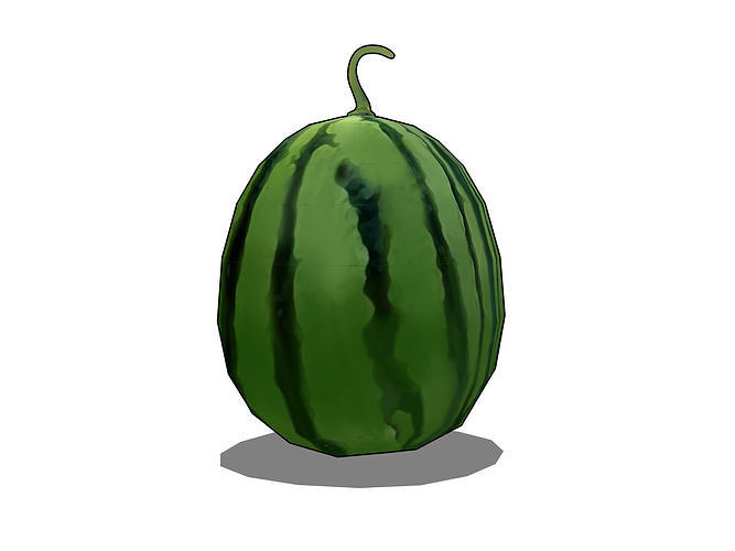 watermelon 3D model | CGTrader
