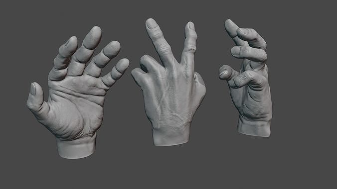 Human hand 3D model rigged | CGTrader