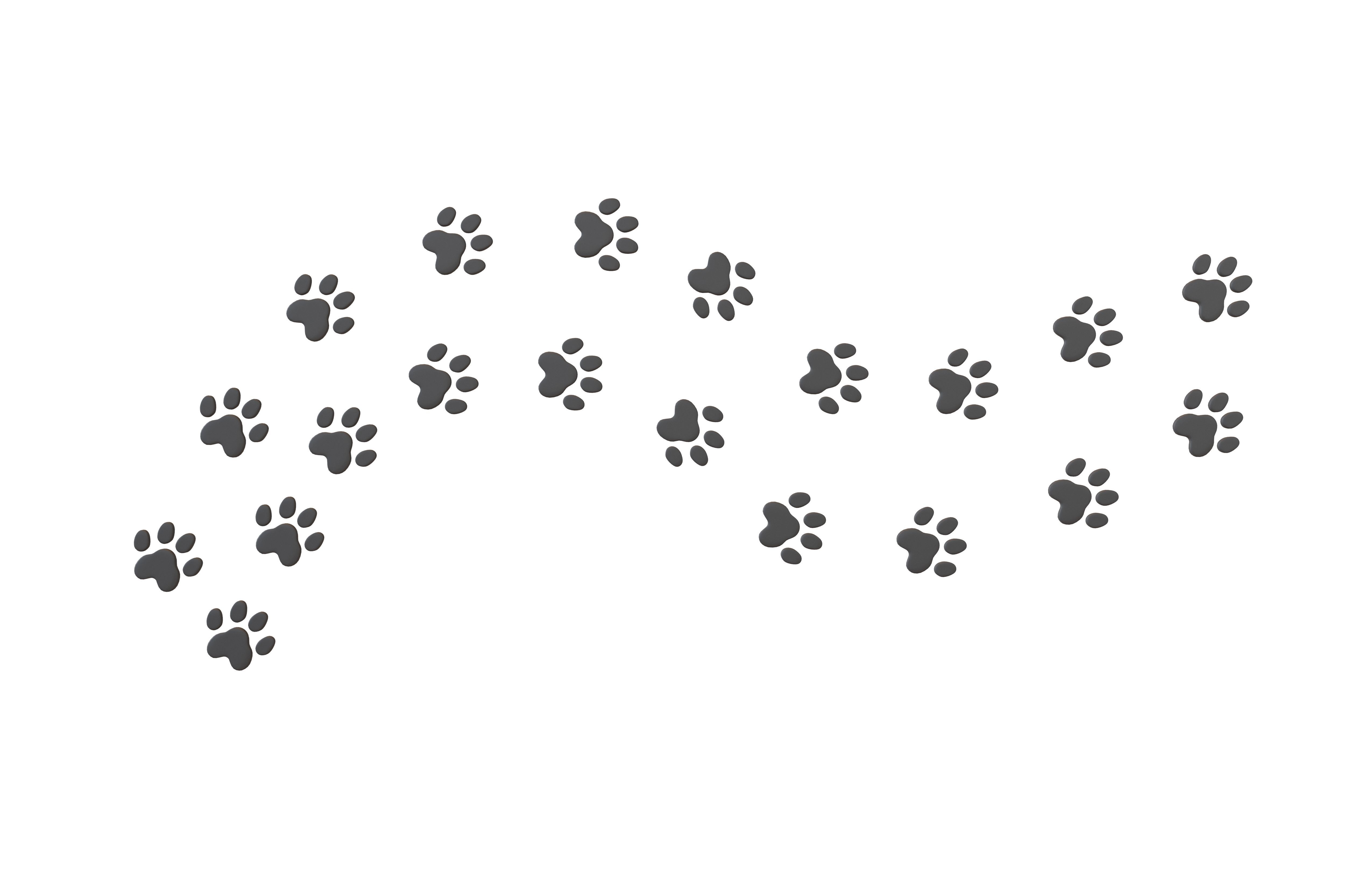 3D model Dog Paw Print Path v1 001 VR / AR / low-poly | CGTrader
