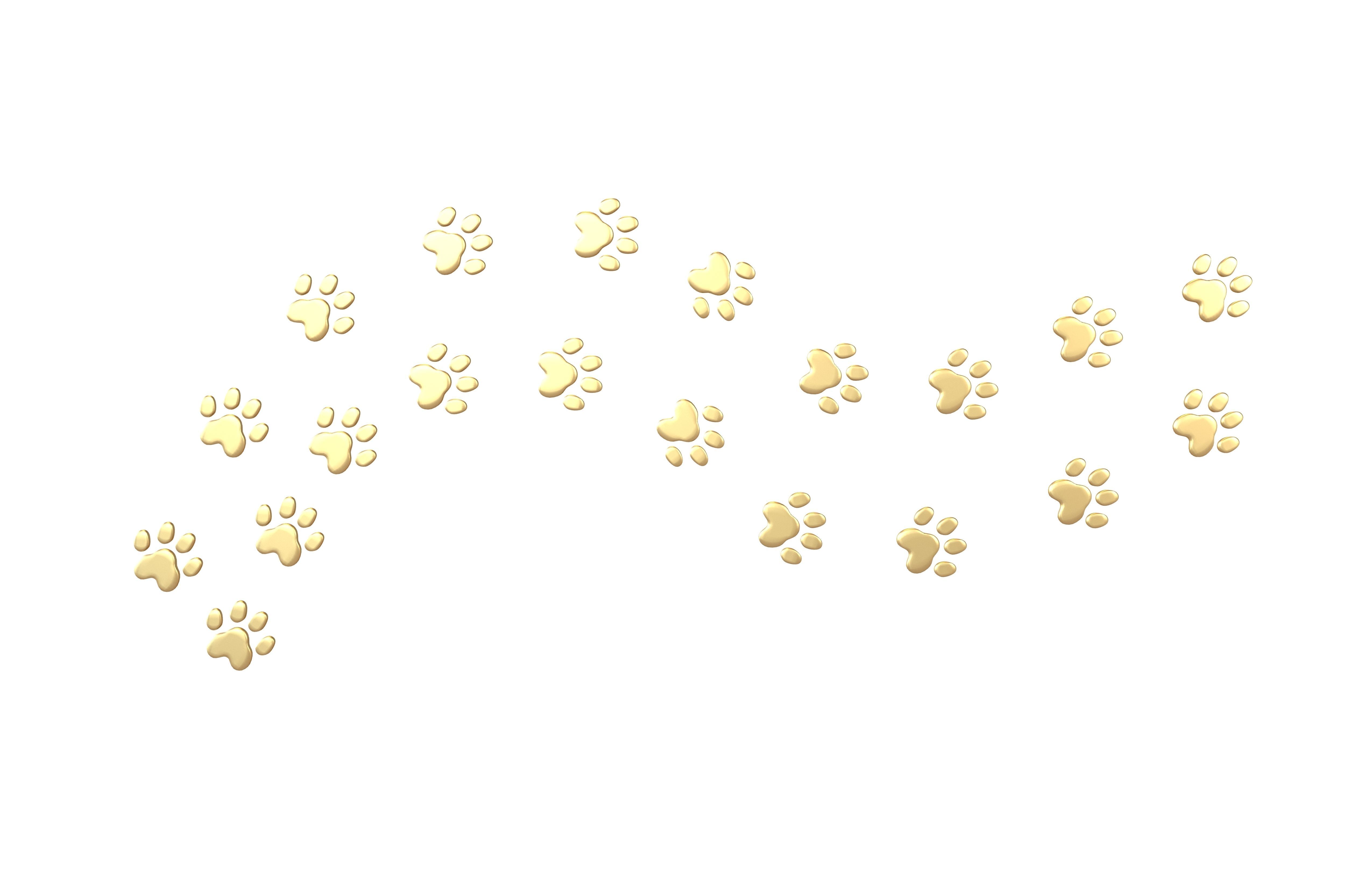 3D model Dog Paw Print Path v1 003 VR / AR / low-poly | CGTrader