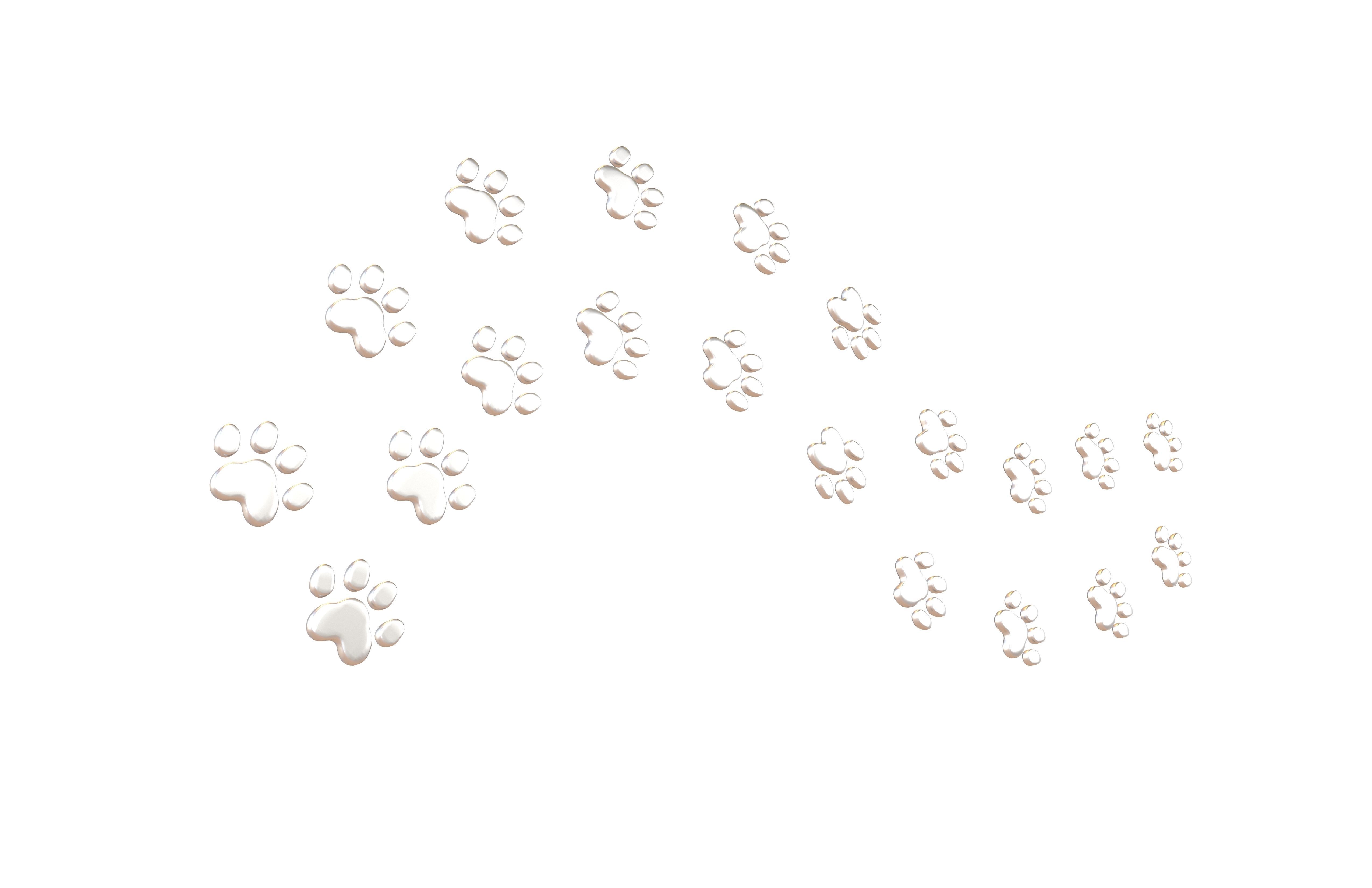 3D model Dog Paw Print Path v1 004 VR / AR / low-poly | CGTrader