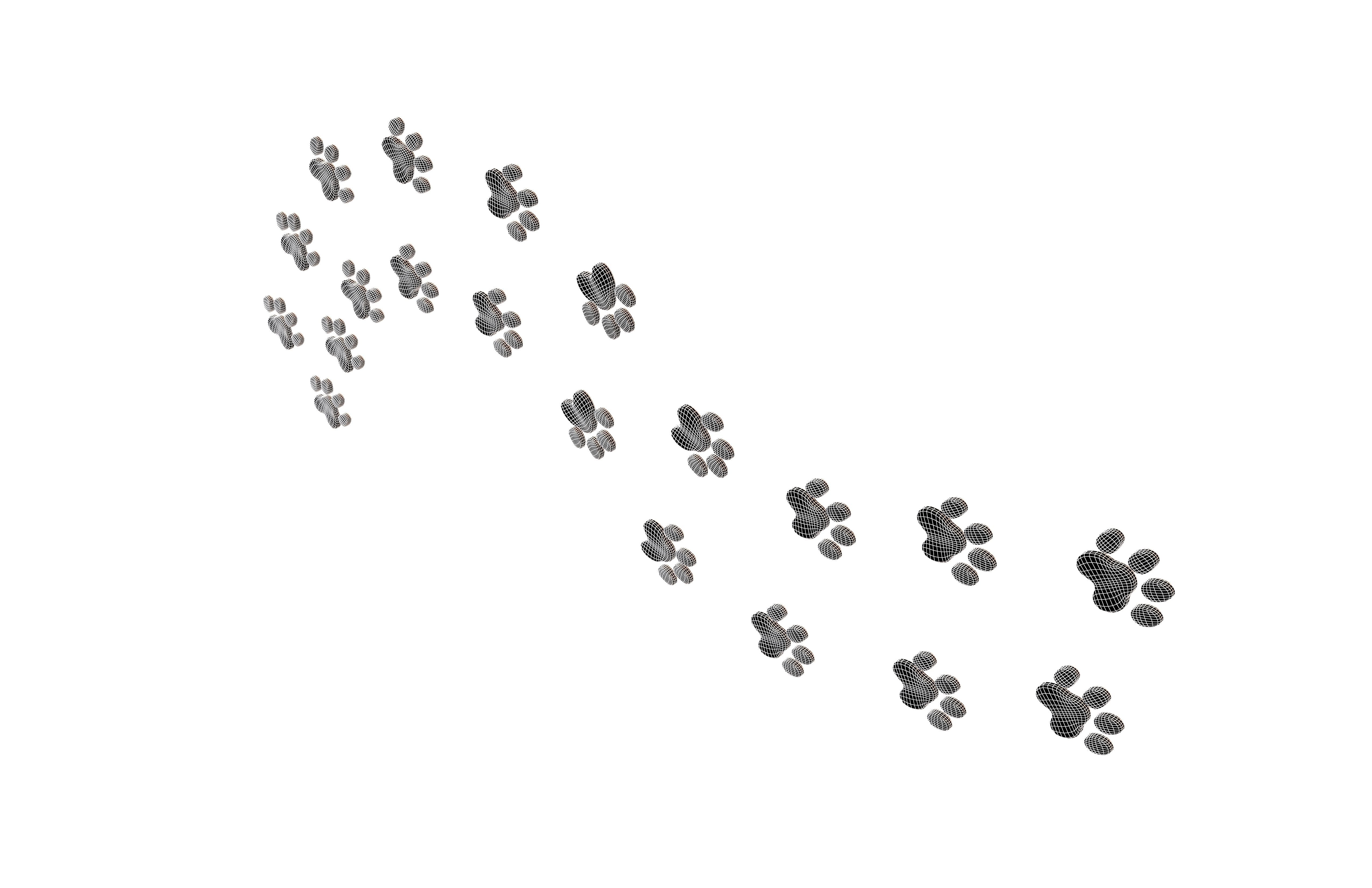3D model Dog Paw Print Path v1 004 VR / AR / low-poly | CGTrader