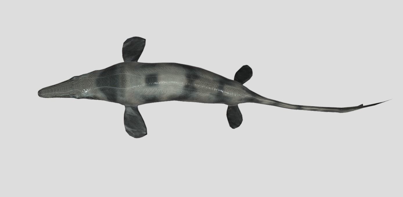 3D model Tylosaurus VR / AR / low-poly | CGTrader