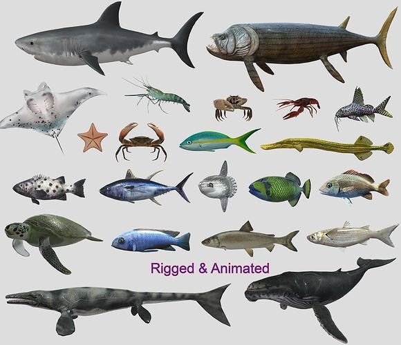Fish Collection Animated - Game Ready Pack 4 VR / AR / low-poly | CGTrader