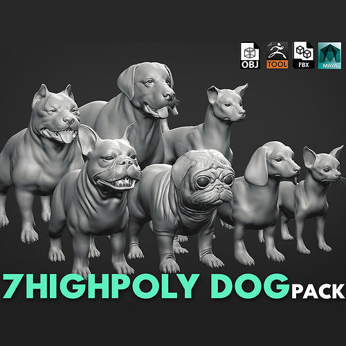 Mega Dog Pack 3D Model Collection | CGTrader