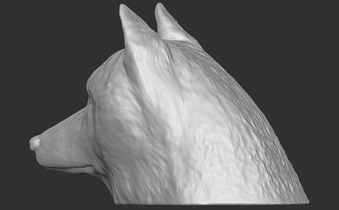 Syberian Husky dog head for 3D printing 3D model 3D printable | CGTrader