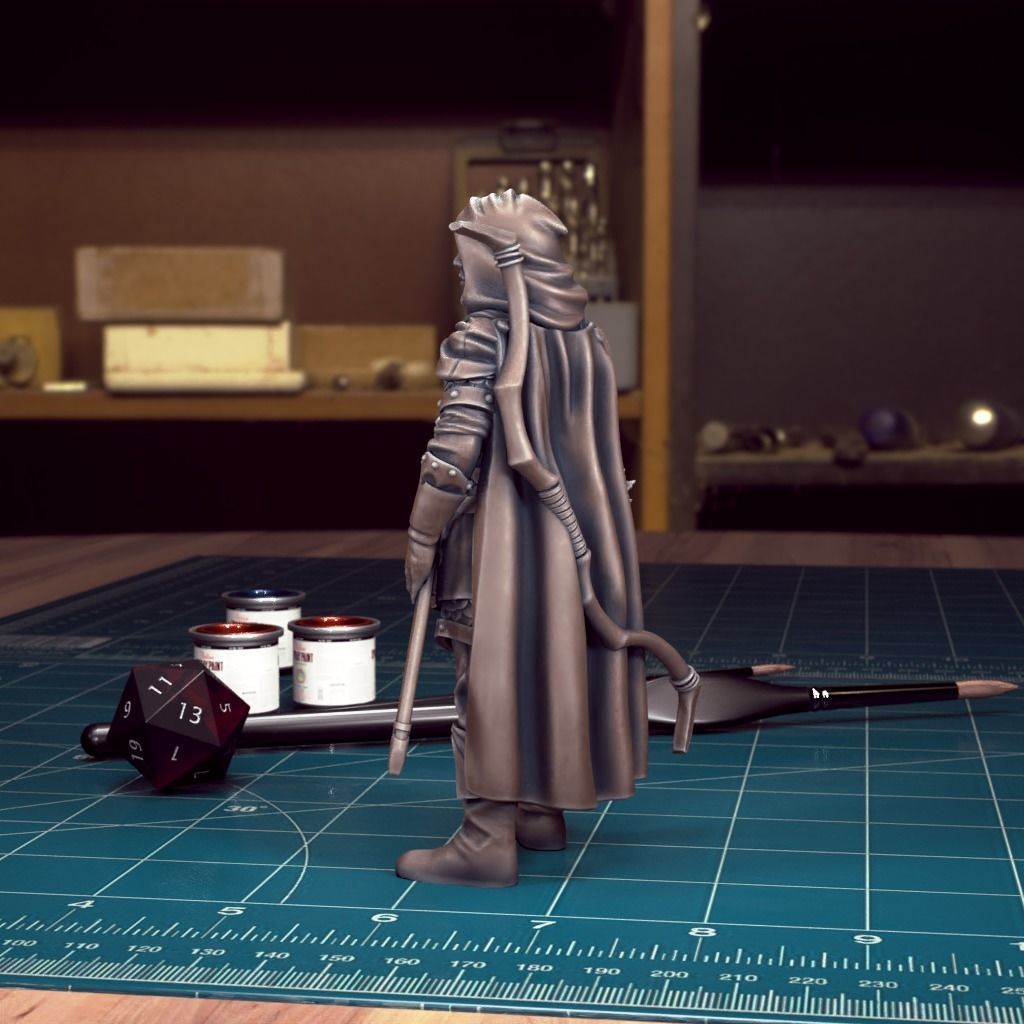 DnD Heroes - Human Fighters - Pre-Supported 3D model 3D printable ...