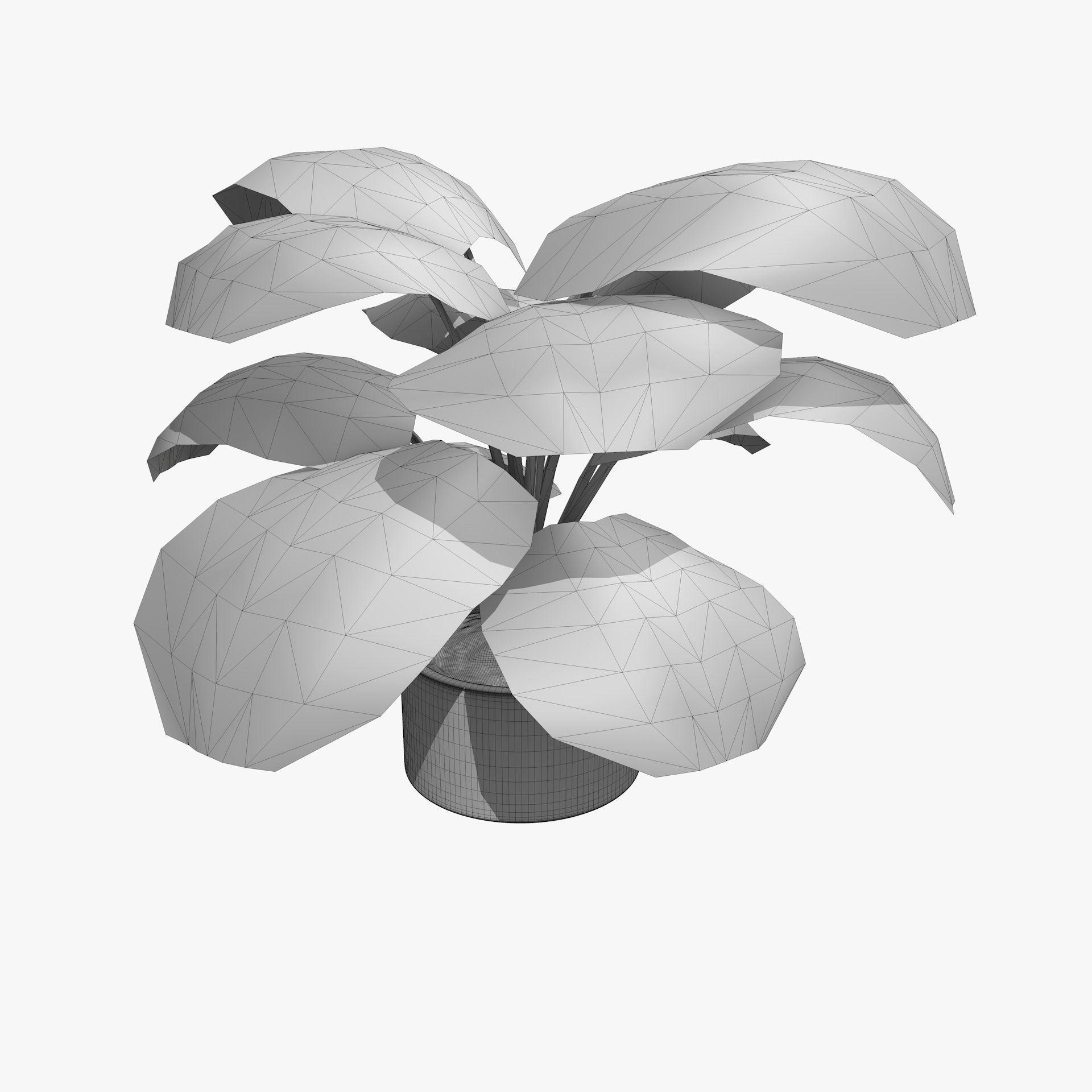 3D model Interior Tropical Plants Monstera Deliciosa Alocasia Low-poly ...