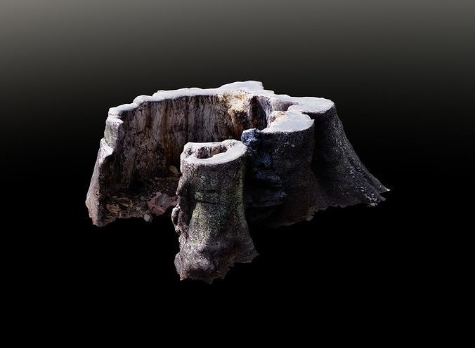 Wood Scan Asset 1 3D model | CGTrader