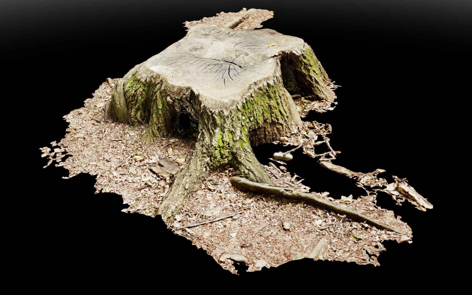 Wood Scan Asset 7 3D model | CGTrader