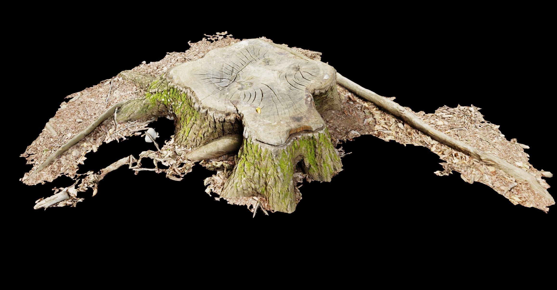 Wood Scan Asset 7 3D model | CGTrader