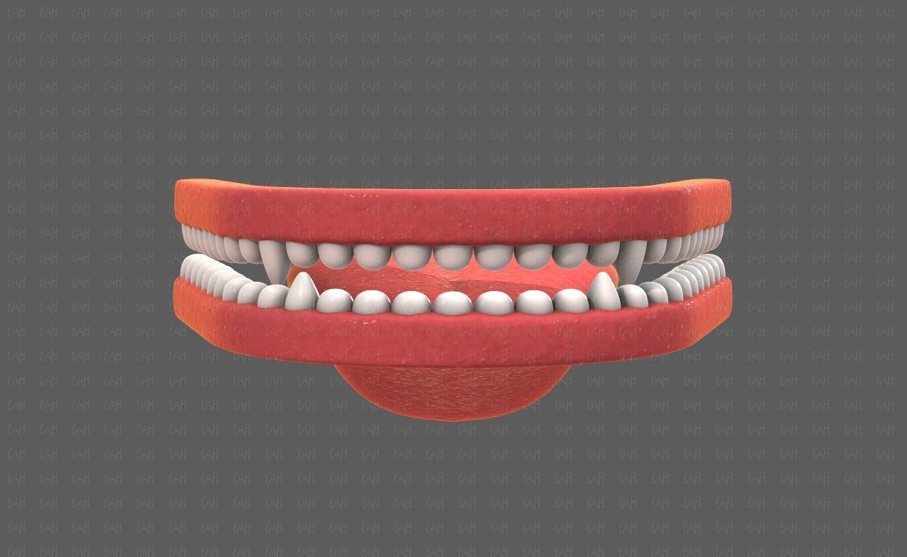3D model Teeth Cartoon V02 VR / AR / low-poly | CGTrader