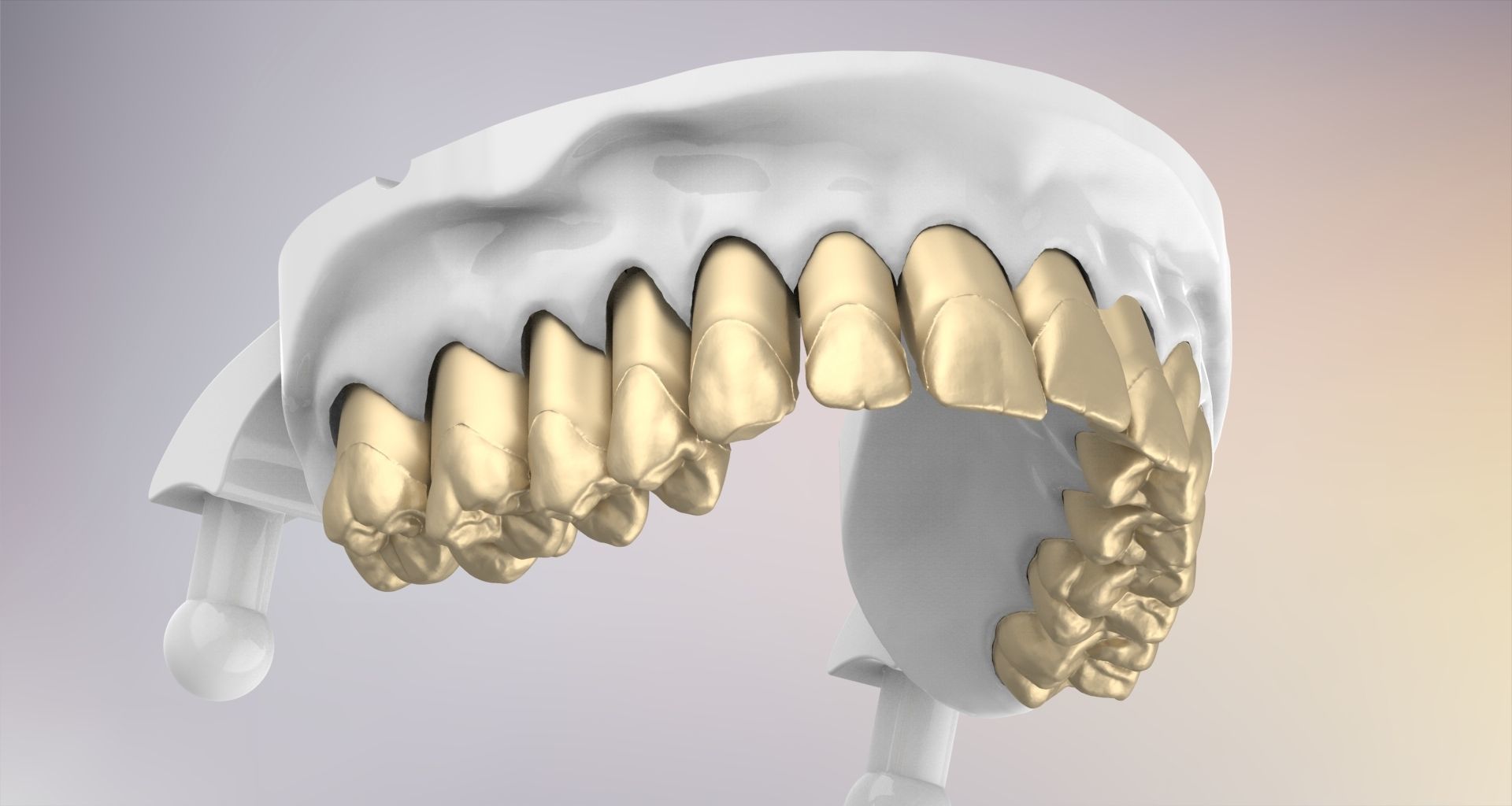 3D Dental Jaws Replica with Detachable Teeth 3D model 3D printable ...