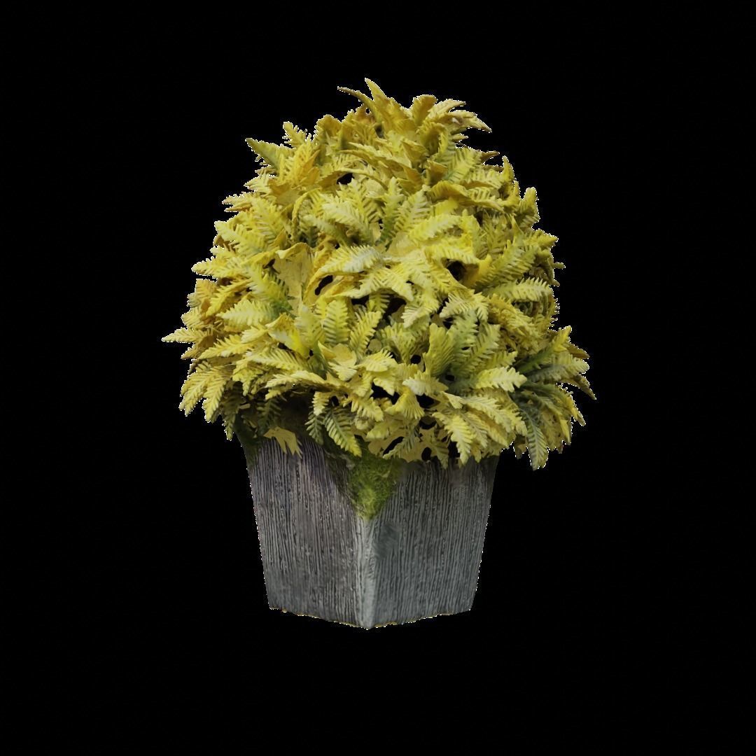 Artificial Plant 3D scan free 3D model | CGTrader