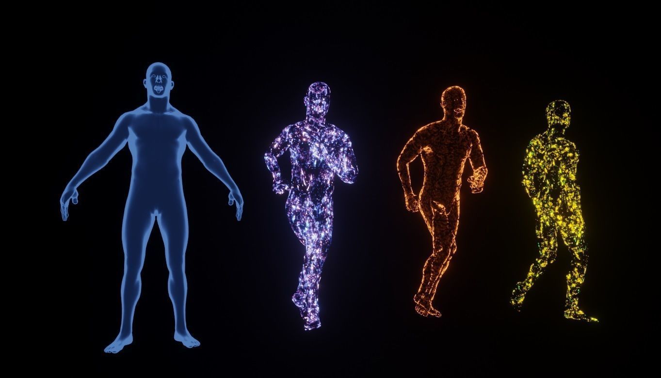 Male Body Xray 3D model animated rigged | CGTrader