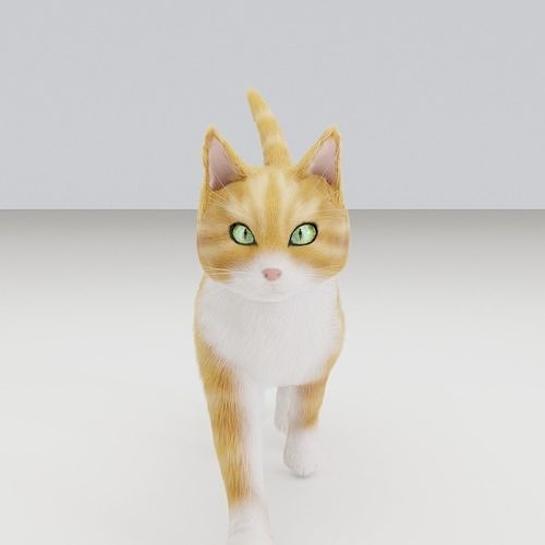 Realistic Cat Rigged 3D model animated rigged | CGTrader