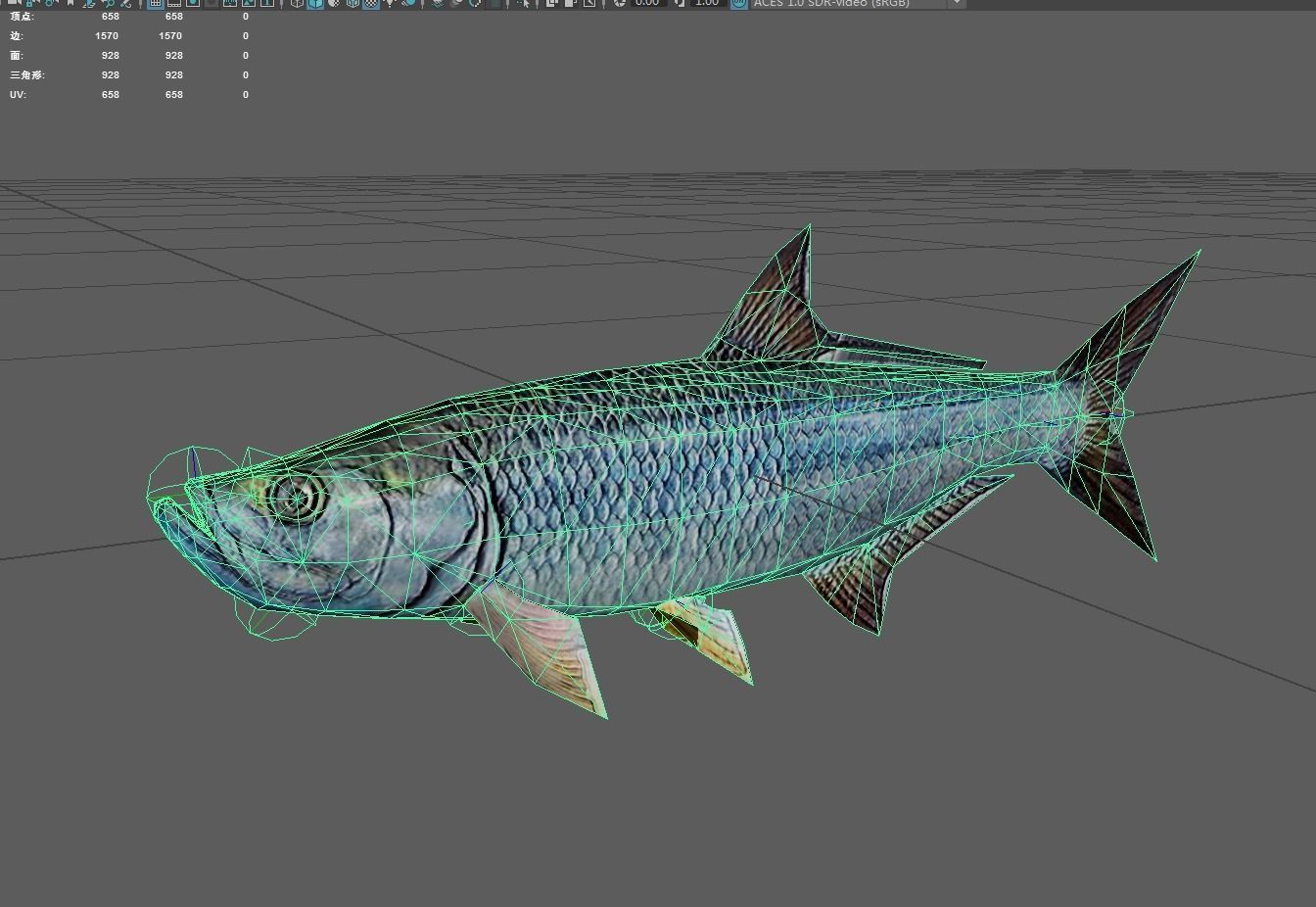 Tarpon 3D model rigged | CGTrader
