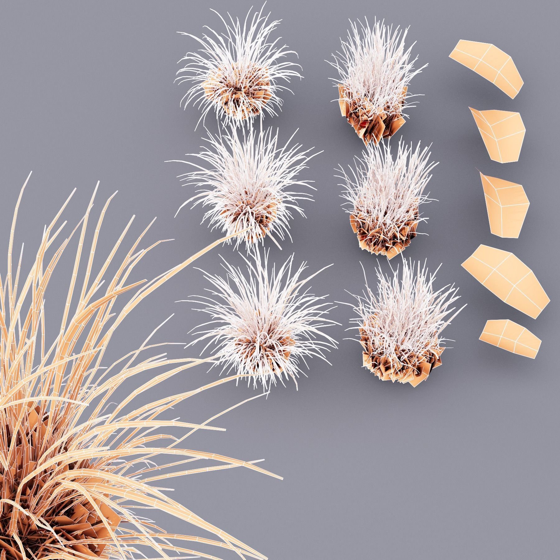 Grass Beautiful Grassland Summer 3D model | CGTrader