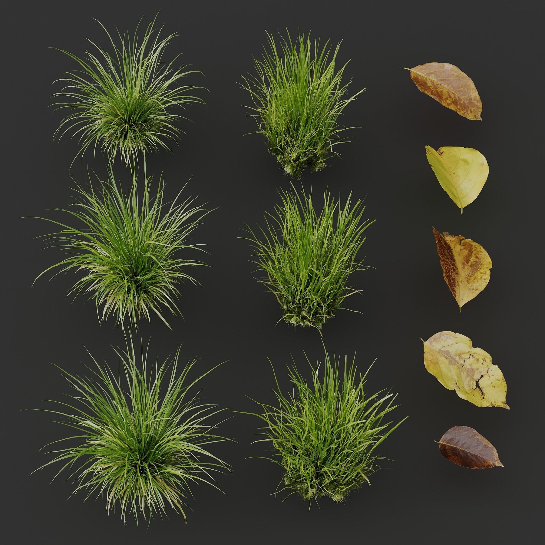 Grass Beautiful Grassland Summer 3D model | CGTrader