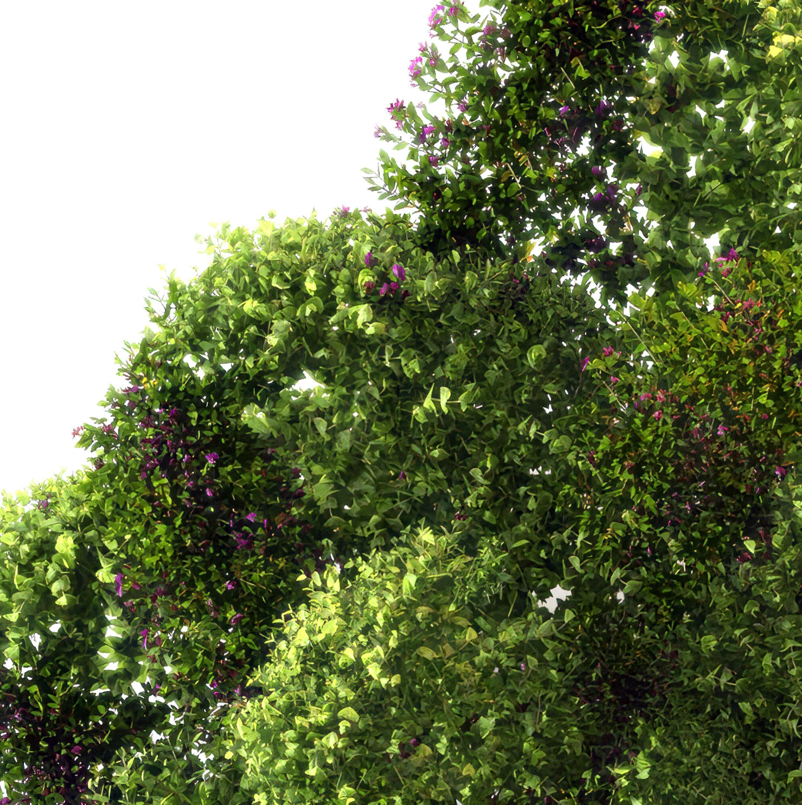 outdoor Modern greenery 3D model | CGTrader