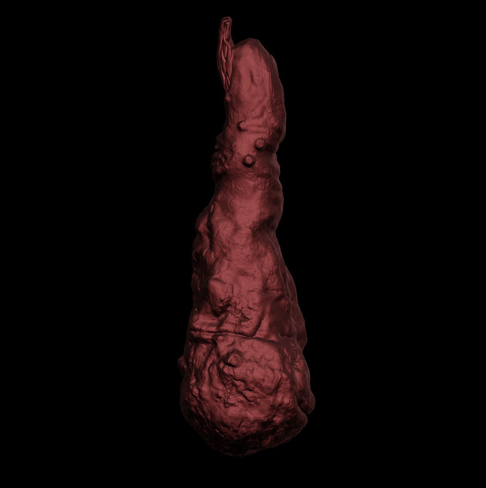 SUKUNA FINGER BUNDLE 1-4- JUJUTSU KAISEN MANGA - STL 3D model 3D ...