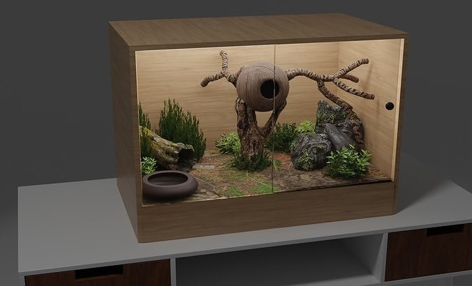Terrarium for reptiles 3D model | CGTrader