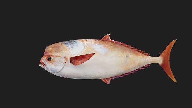 Louvar 3D model rigged | CGTrader