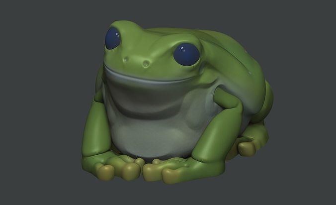 Smile Frog 3D model | CGTrader