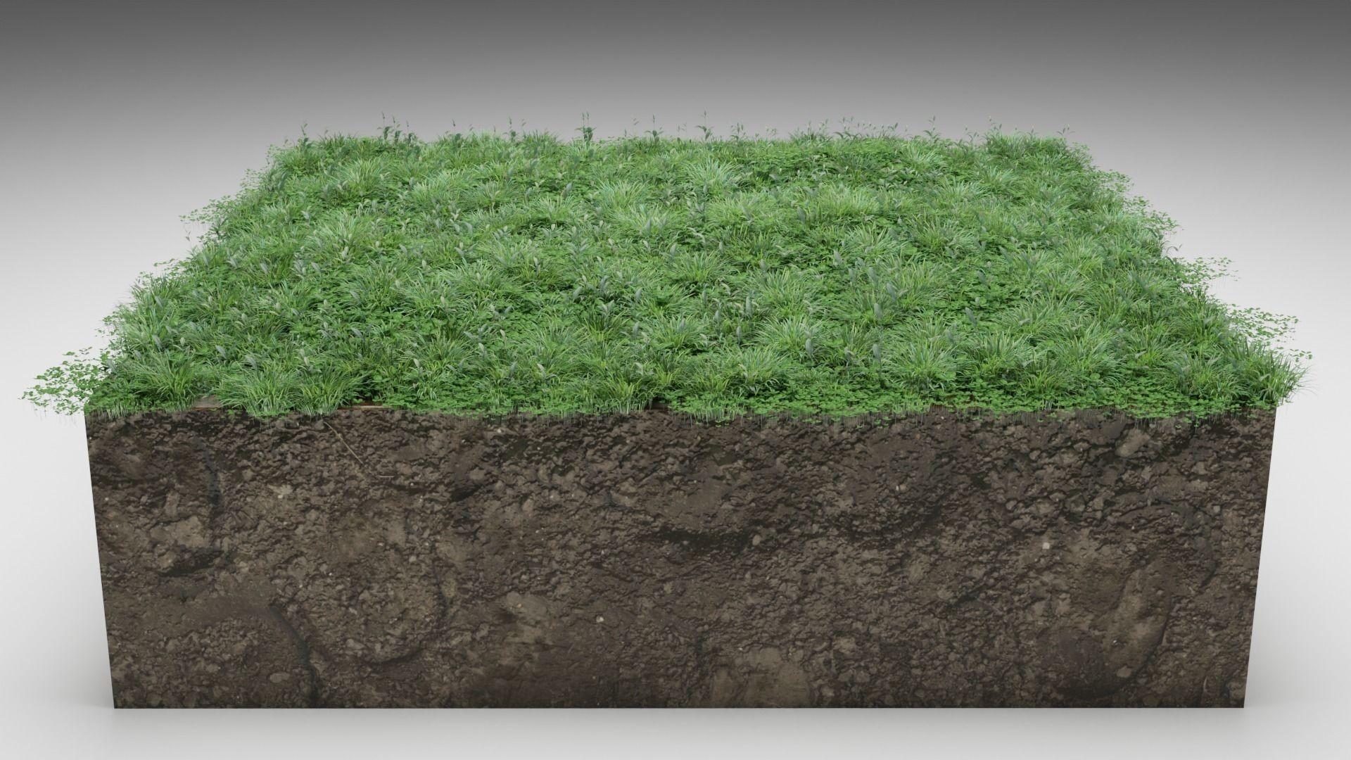 3D model Lawn grass free VR / AR / low-poly | CGTrader