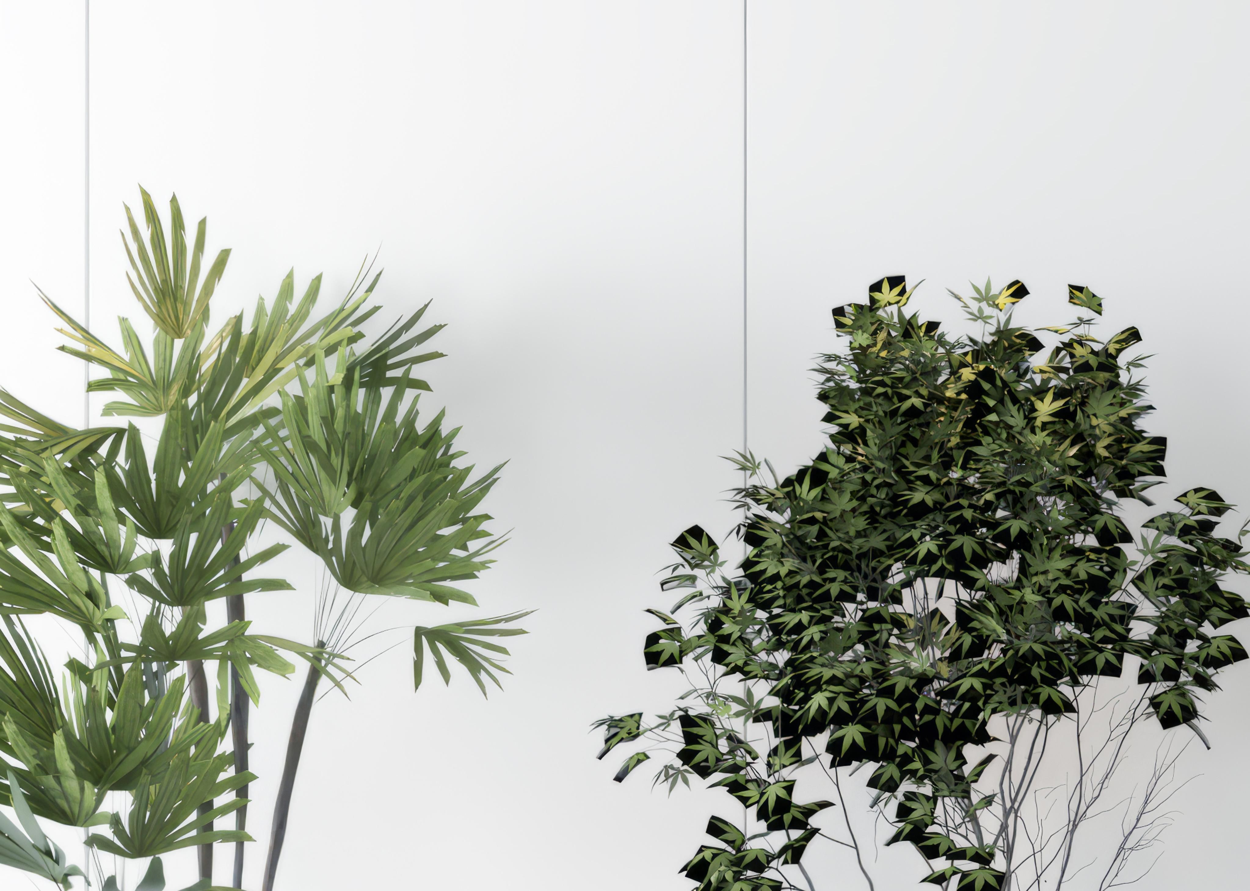 Plant Modern Potting 3D model | CGTrader