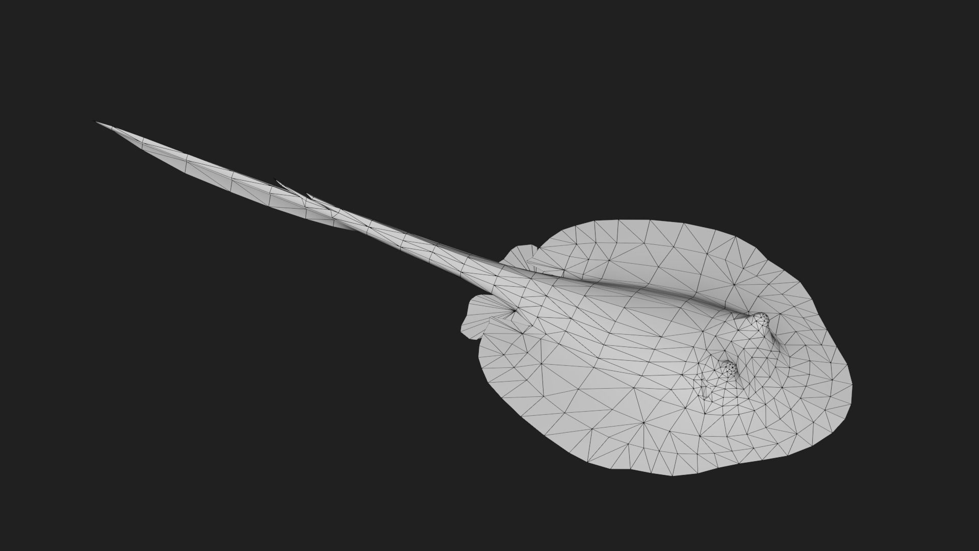 DiscusRay 3D model rigged | CGTrader