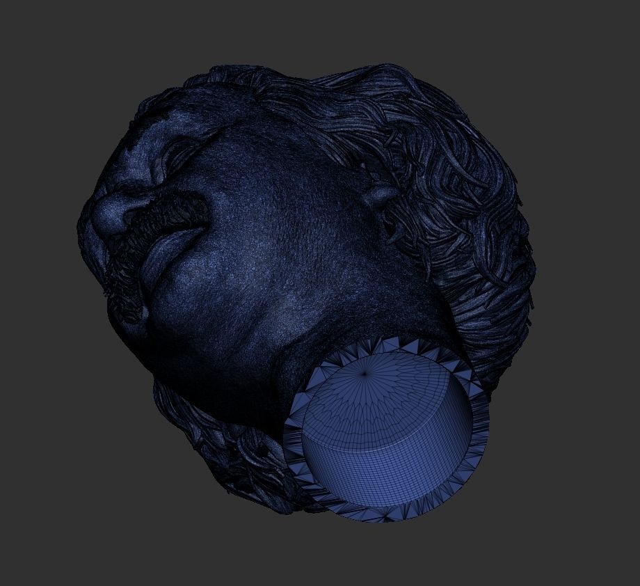 Albert Einstein Head 3D model 3D printable | CGTrader