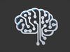 Programmer Brain 3D icon 3D model | CGTrader