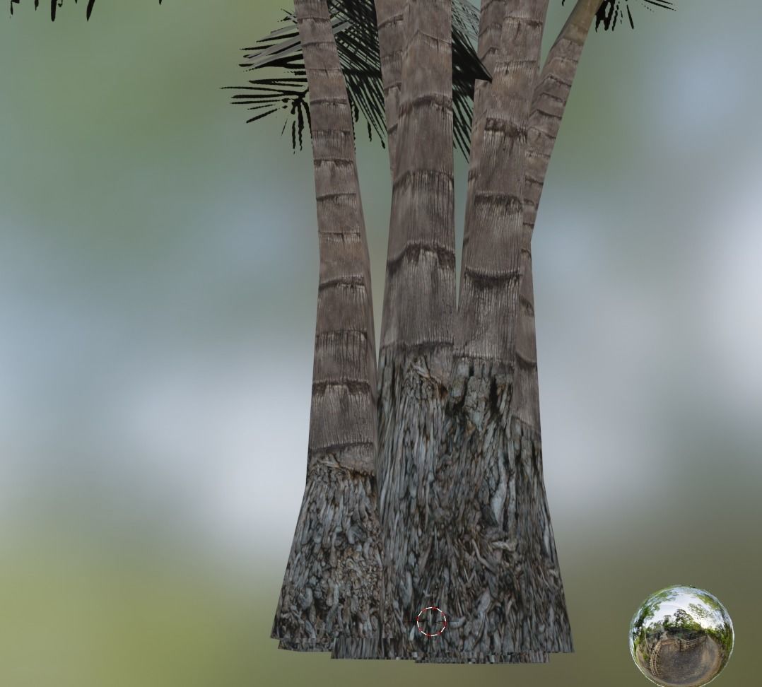 3D model palm coconut tree VR / AR / low-poly | CGTrader