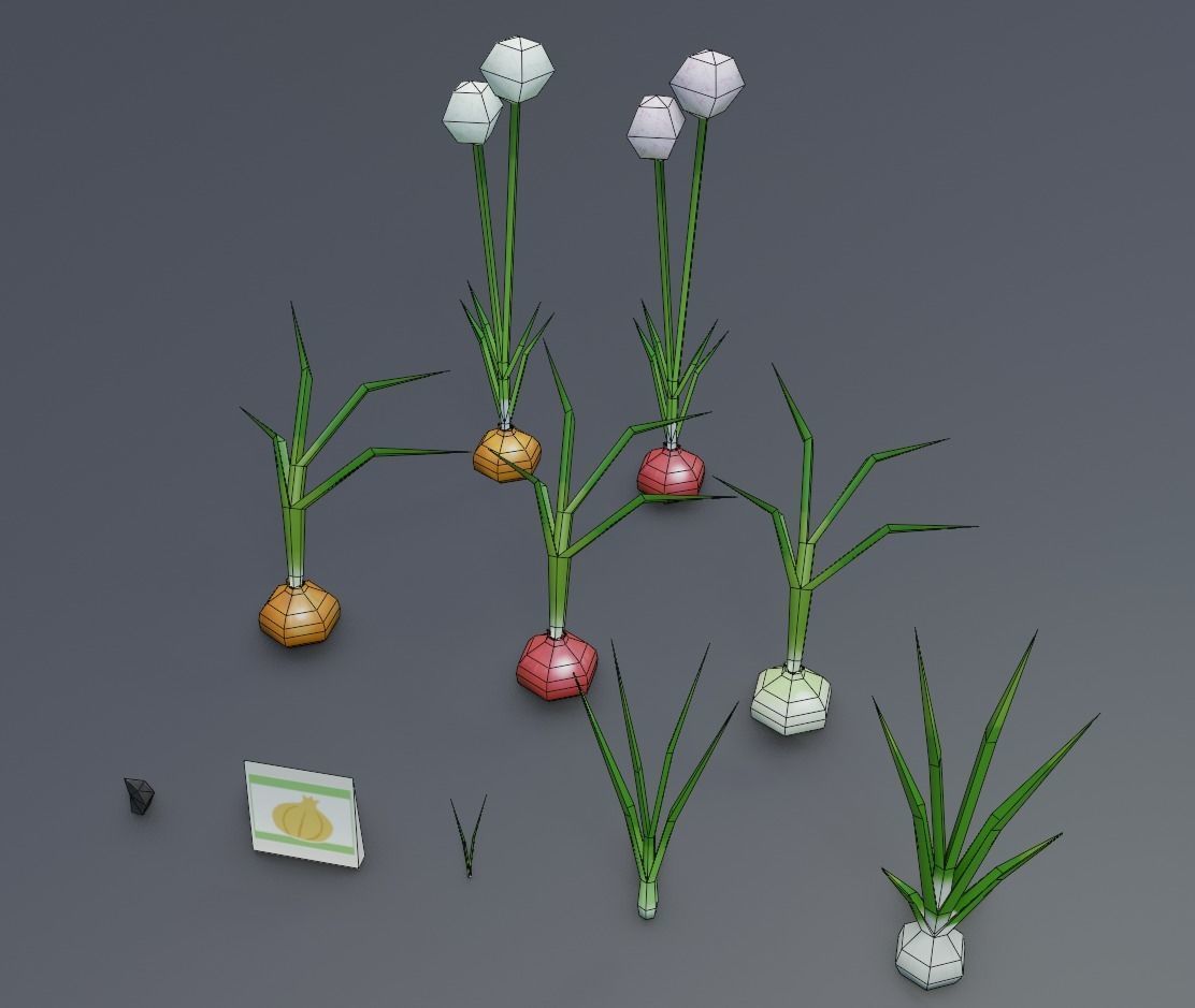 3D model Onion growing and cooking set VR / AR / low-poly | CGTrader