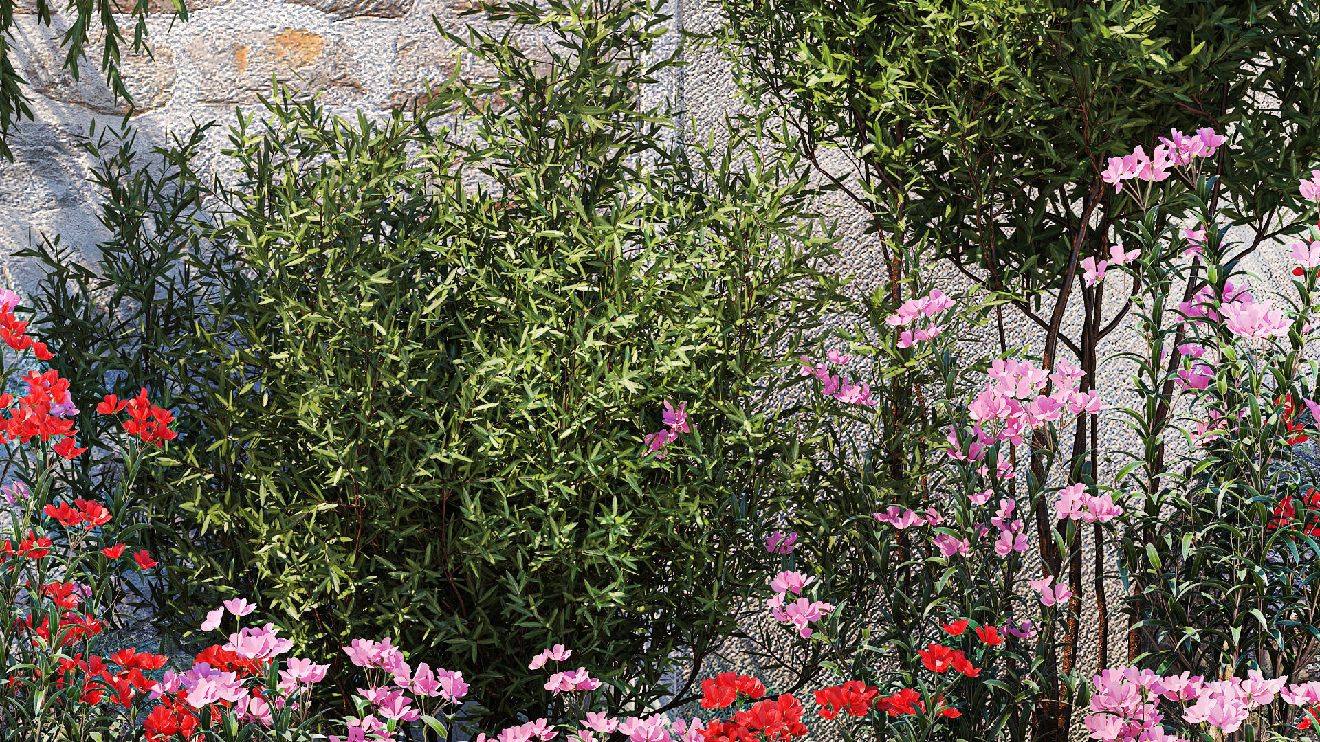 Beautiful garden with Olive Elaeagnus Oleander flowers 1371 3D model ...