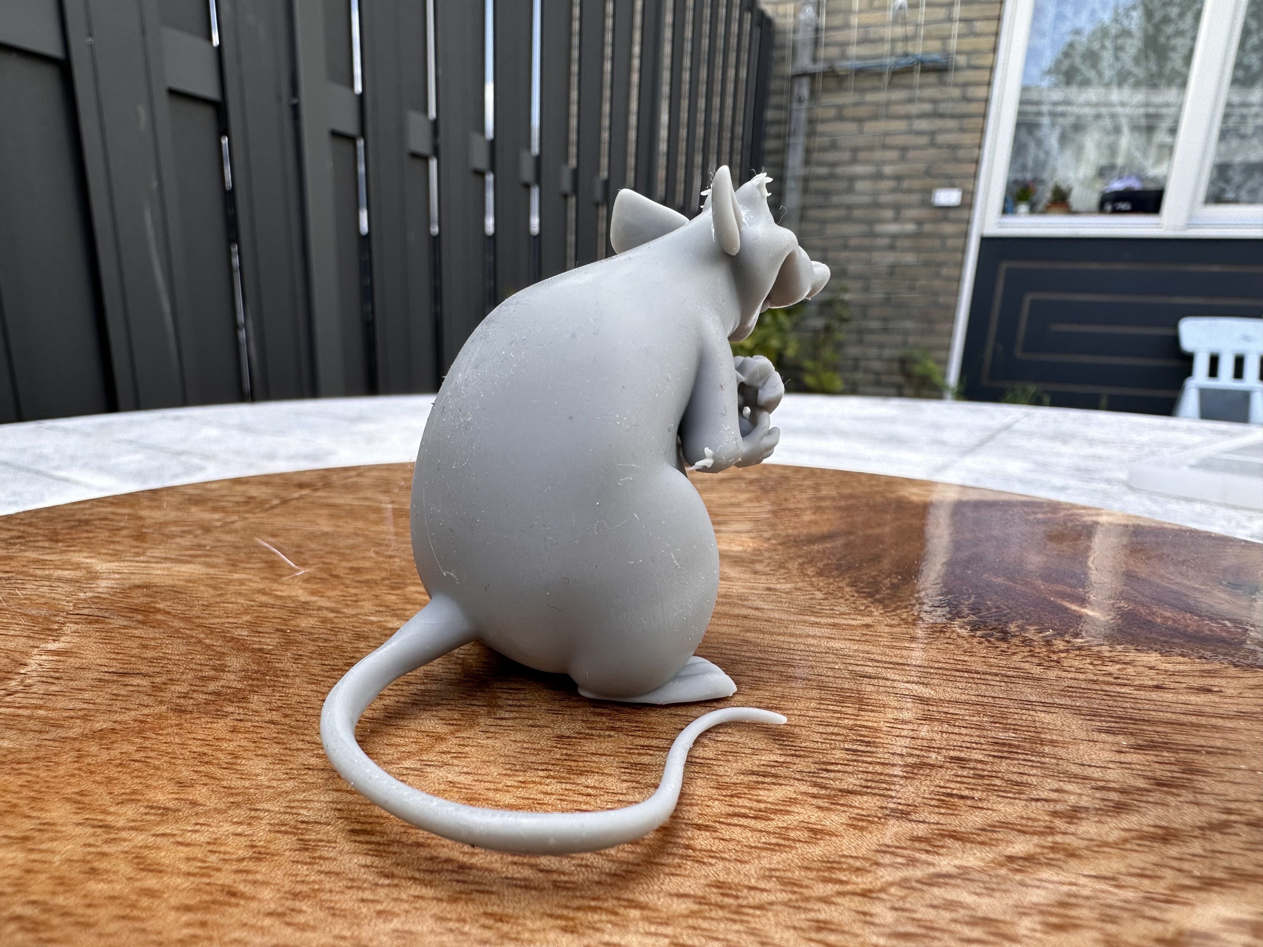 Rat 3D print model 3D model 3D printable | CGTrader