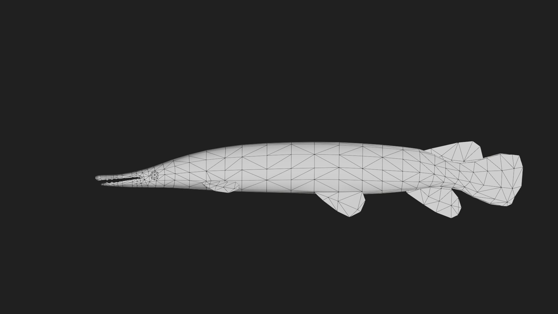 Gar fish 3D model rigged | CGTrader