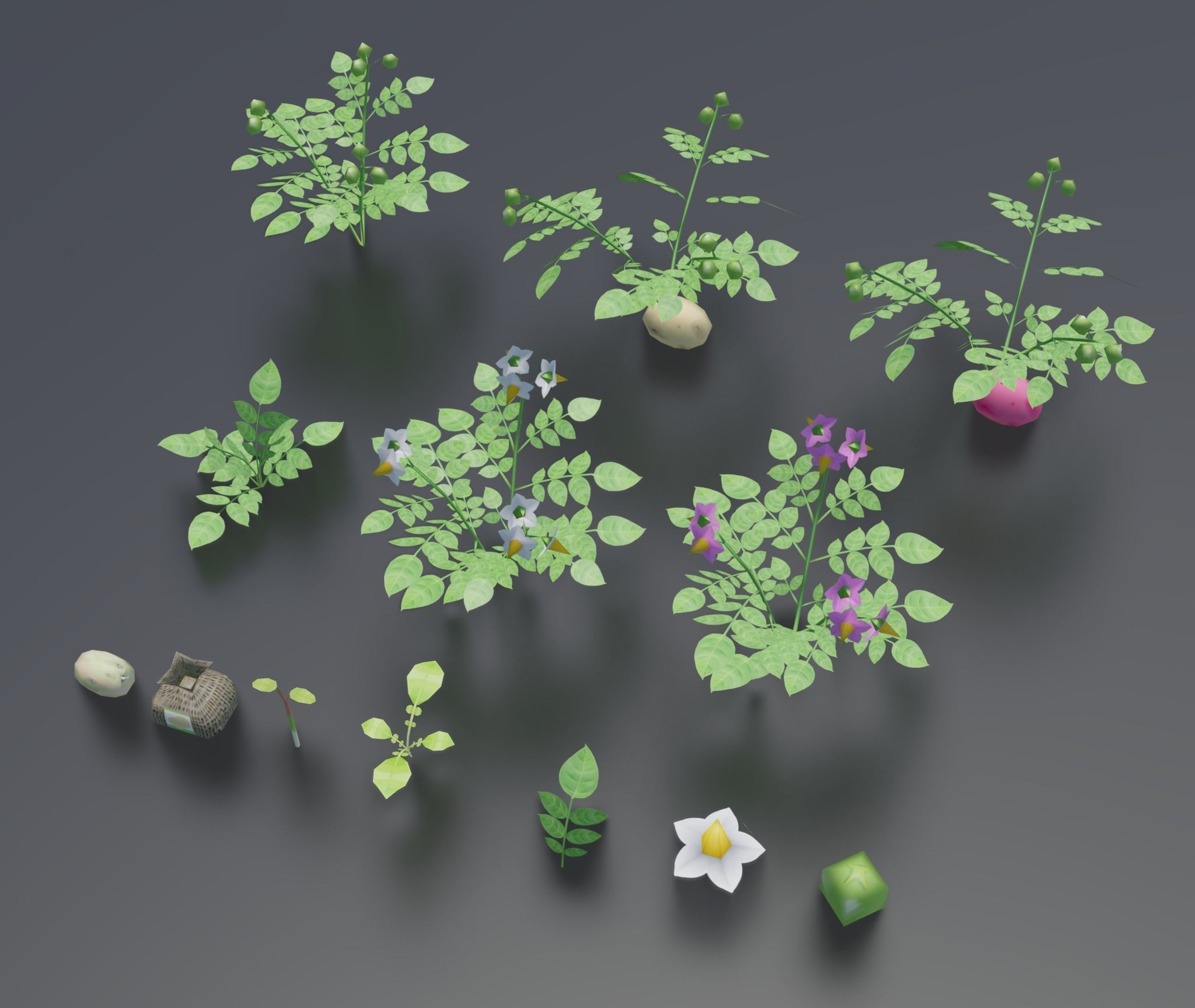 3D model Potato growing and cooking set VR / AR / low-poly | CGTrader