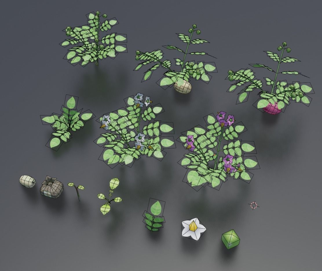 3D model Potato growing and cooking set VR / AR / low-poly | CGTrader