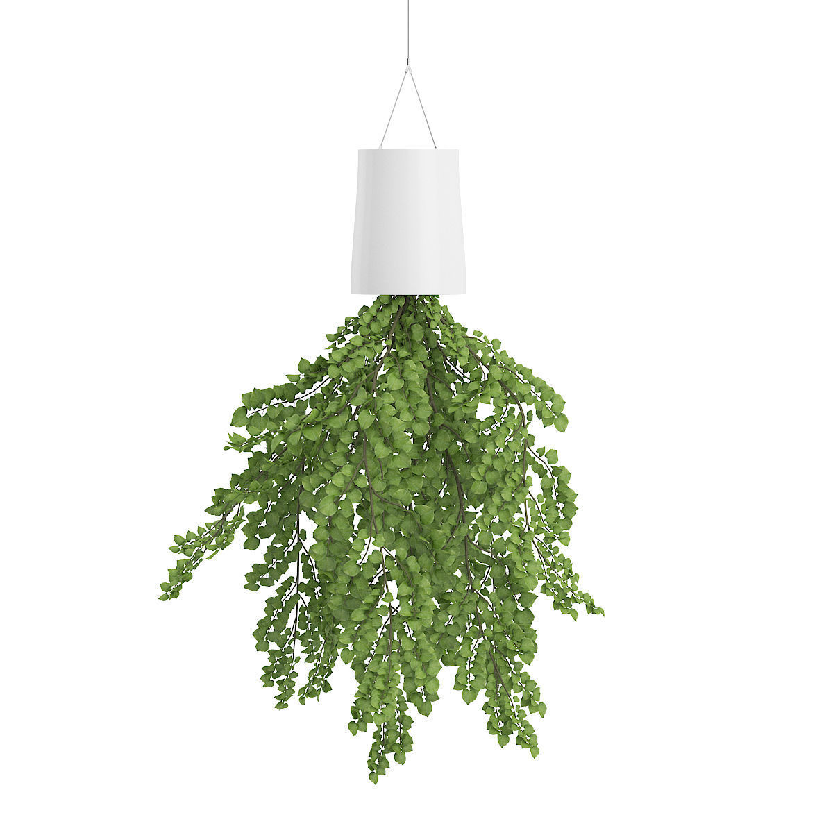 ceiling plant pot 3D model | CGTrader