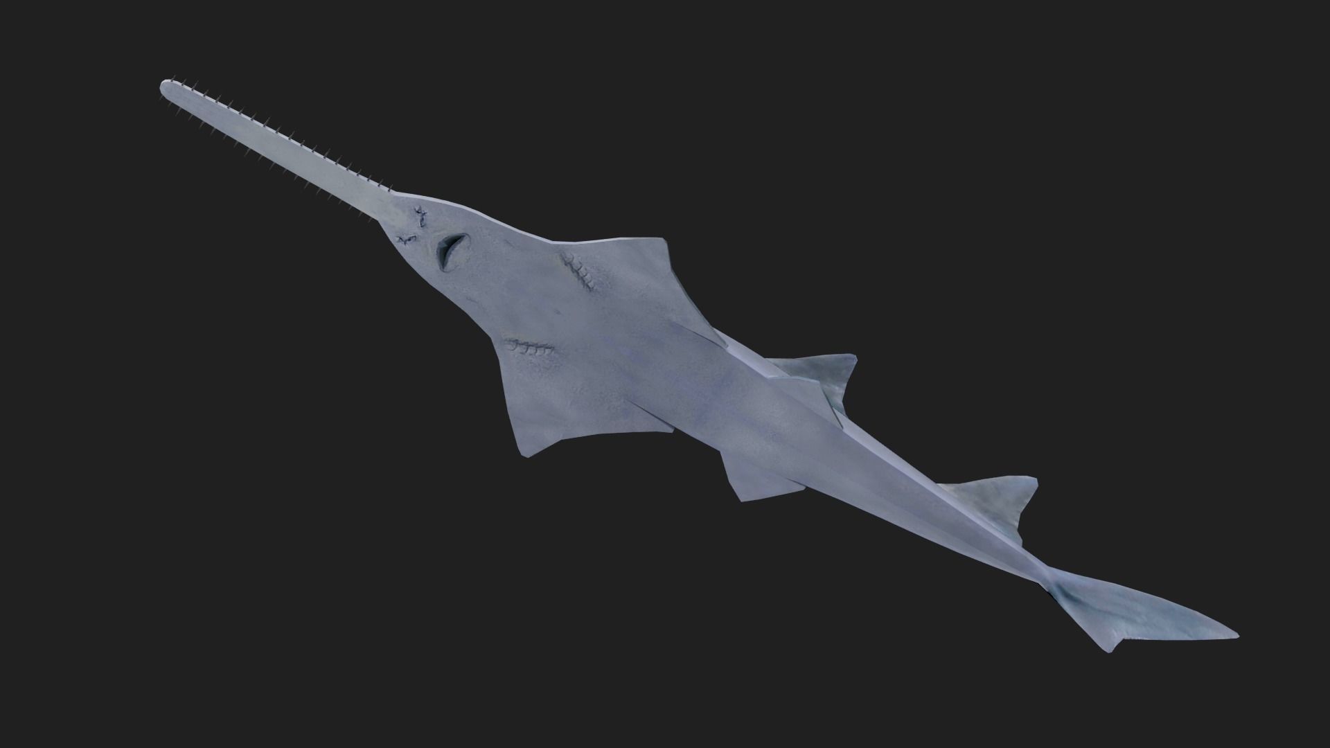 Ray fish 3D model rigged | CGTrader