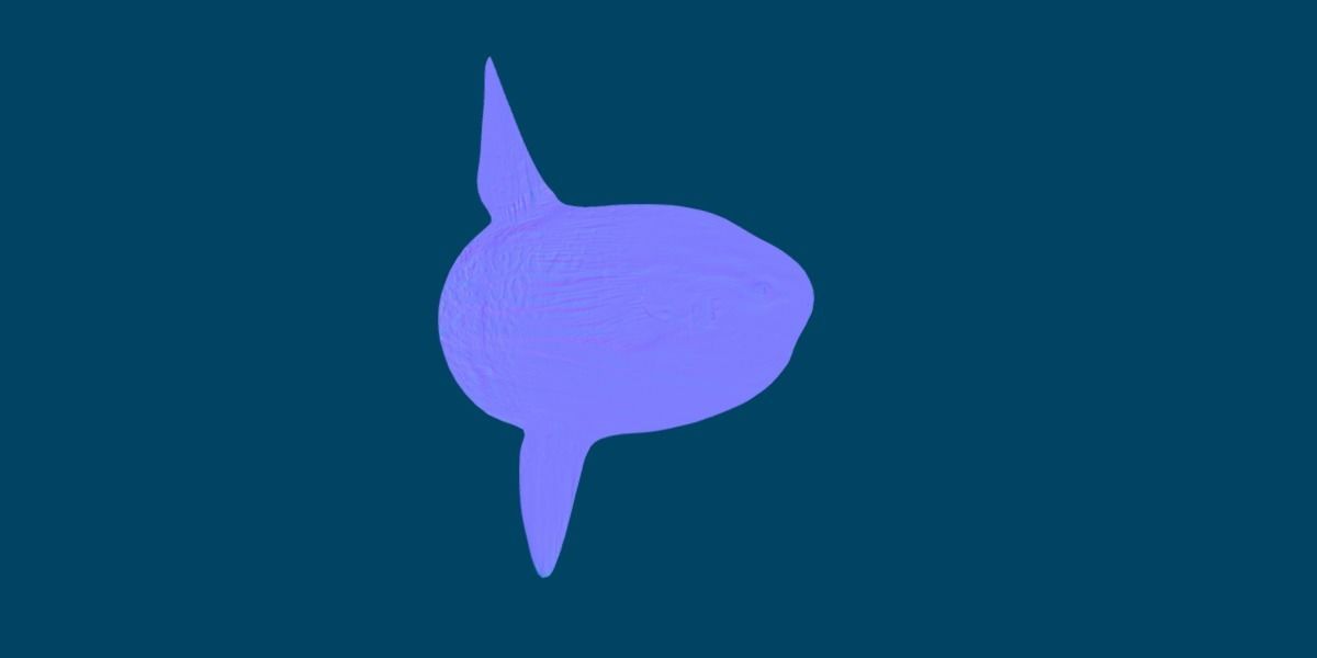 Ocean Sunfish Mola 3D model animated rigged | CGTrader