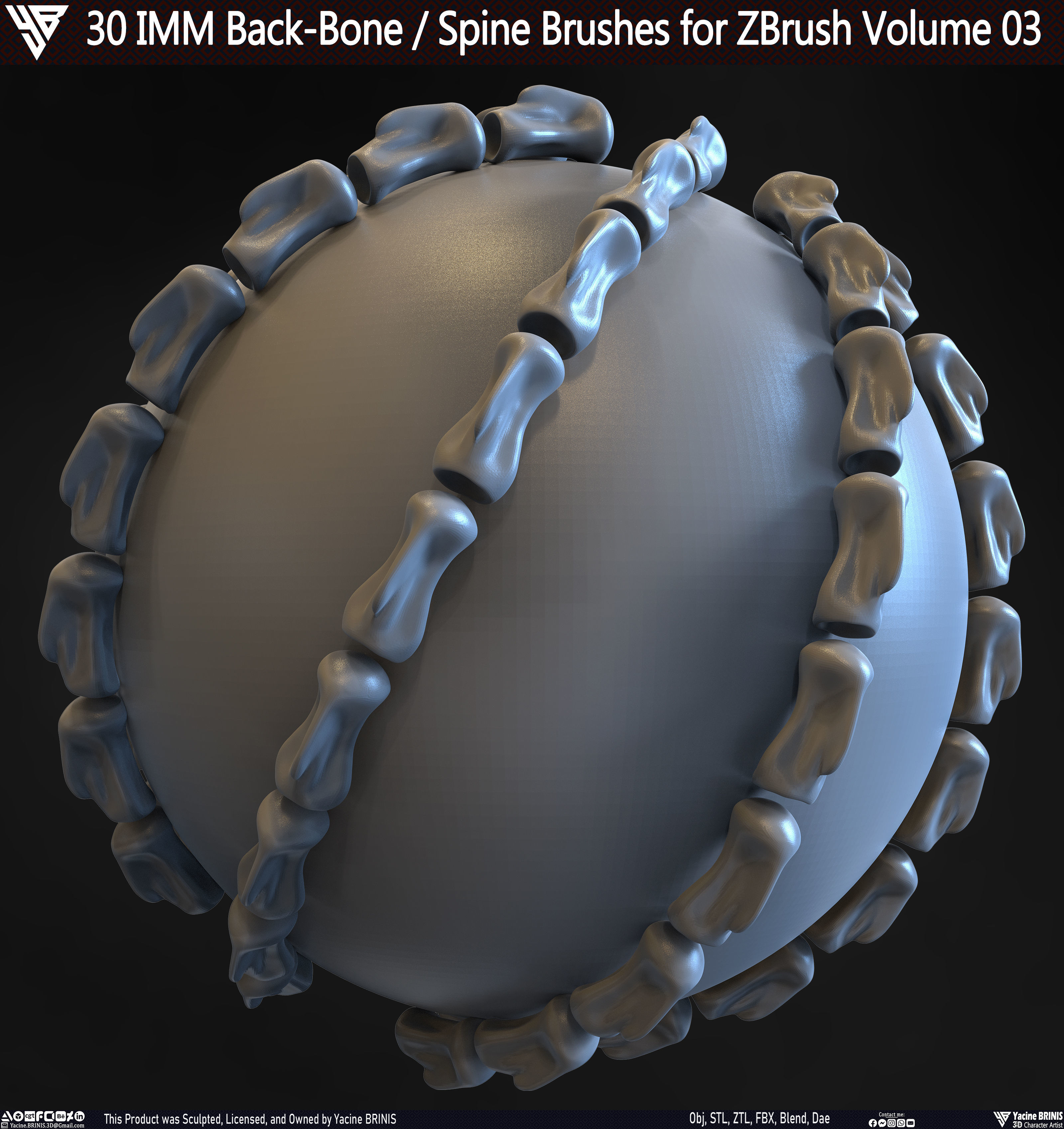 3D model 30 IMM Back-Bone - Spine ZBrush Brush Volume 03 VR / AR / low-poly | CGTrader