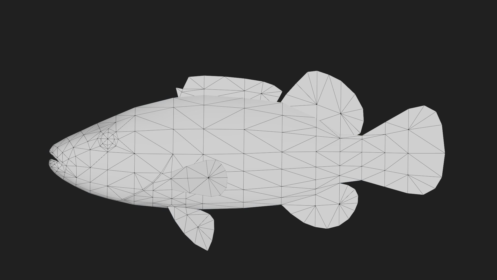 Bass fish 3D model rigged | CGTrader