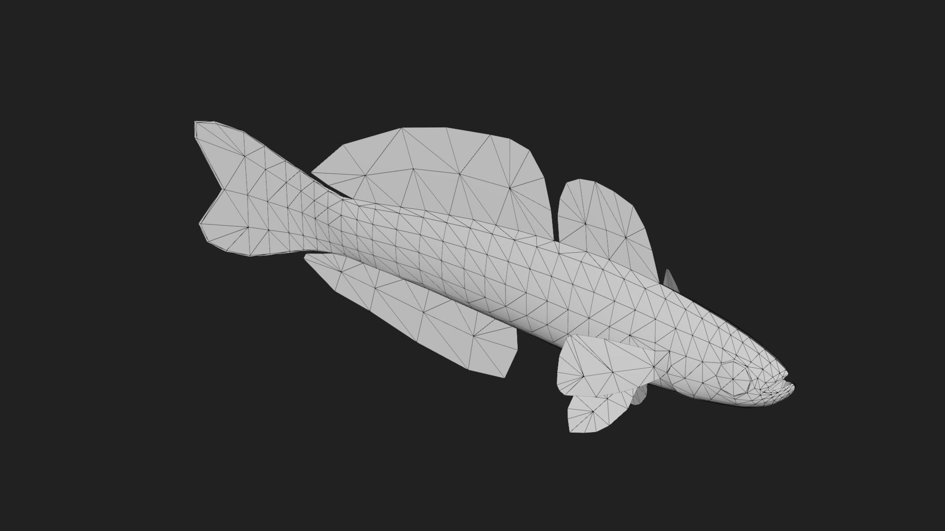 Bass fish 3D model rigged | CGTrader