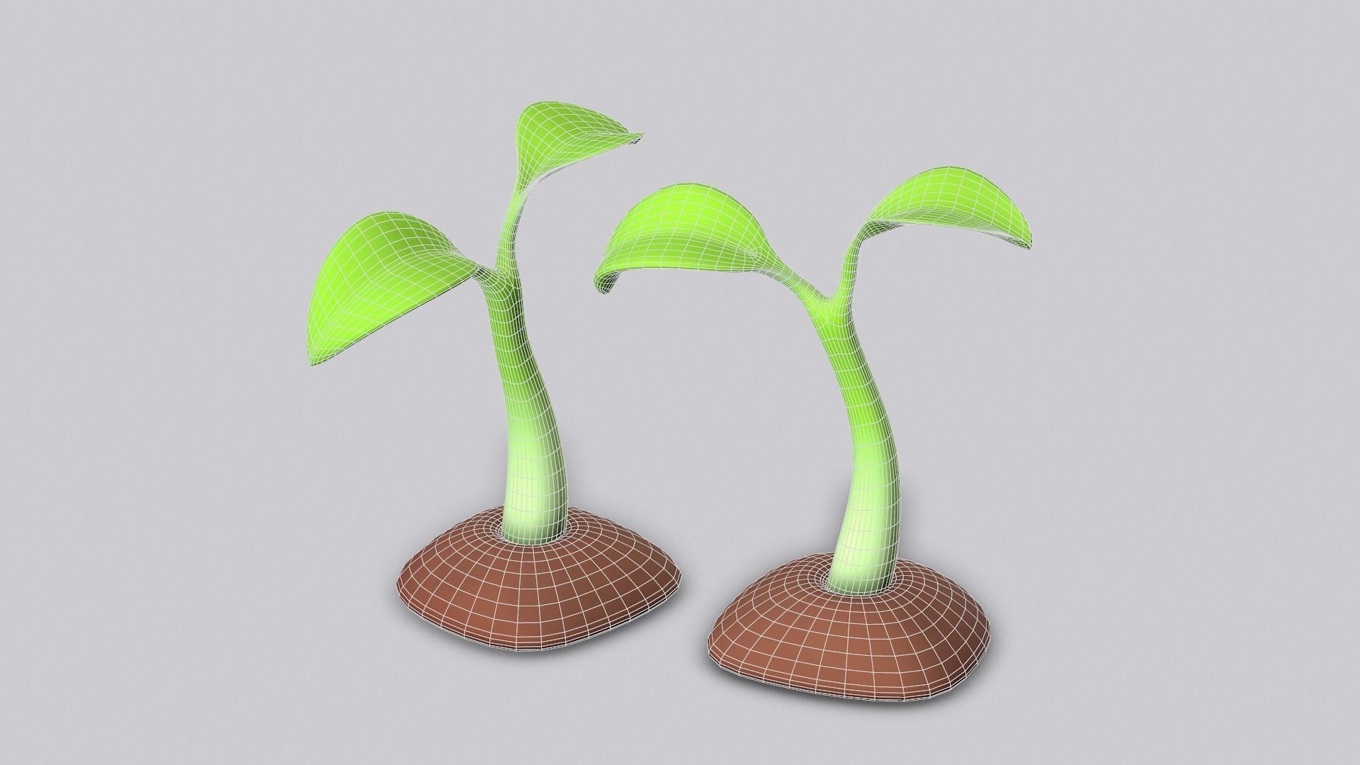 3D model Sapling Plant Sprout VR / AR / low-poly | CGTrader